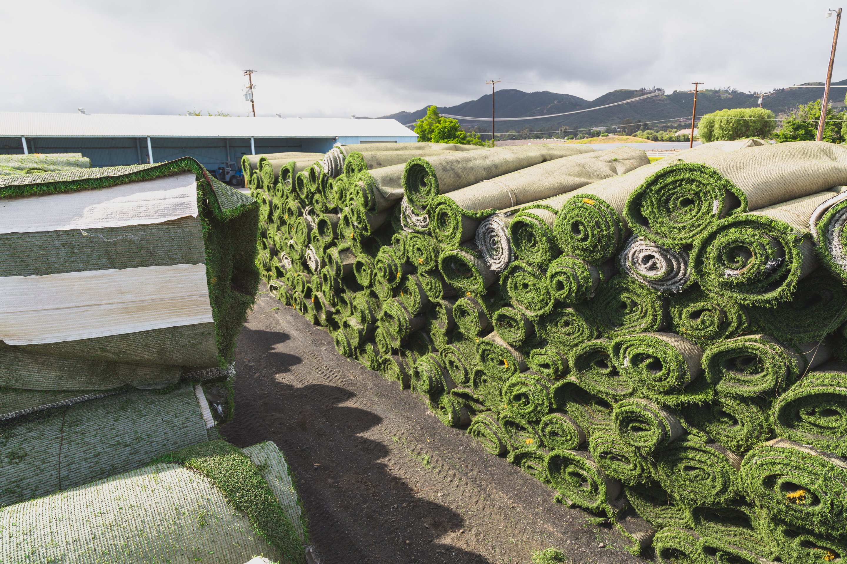 Infill vs Extracted Turf [Types of Repurposed Turf]