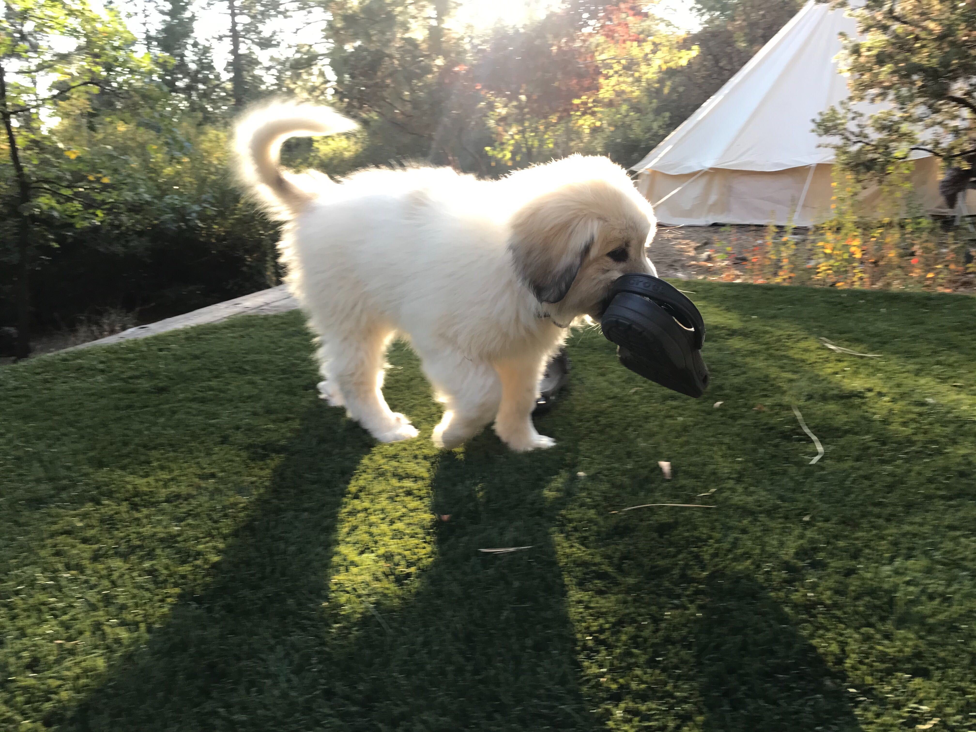 7 Easy Ways to Enhance RV Parks with Beautiful Artificial Turf