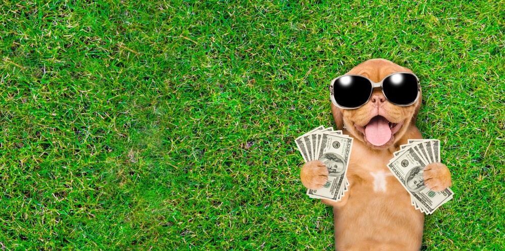 California Artificial Turf Rebates for 2023 | AGR